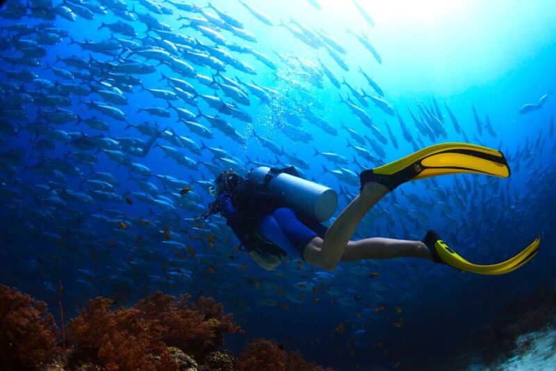 Ko Tao: Open Water Scuba Diving 4-Day Course - What to Expect from This 4-Day Course