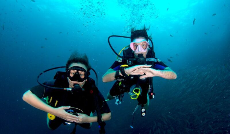 Ko Tao: Open Water Scuba Diving 4-Day Course - Who Should Consider This Course?