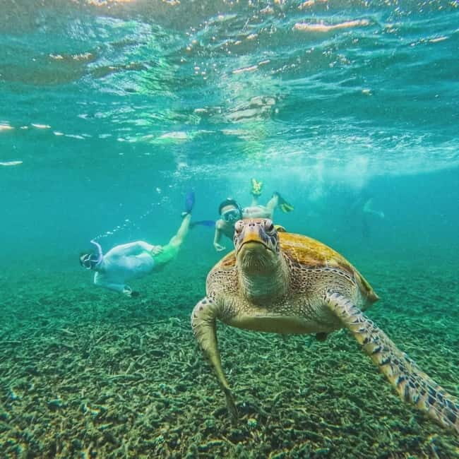Ko Tao: Tao-Nangyuan Snorkeling Day Trip with Meals & Sunset - What You Need to Know Before Booking