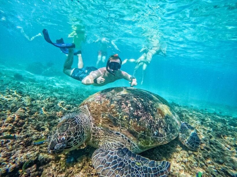 Ko Tao: Tao-Nangyuan Snorkeling Day Trip with Meals & Sunset - The Sum Up
