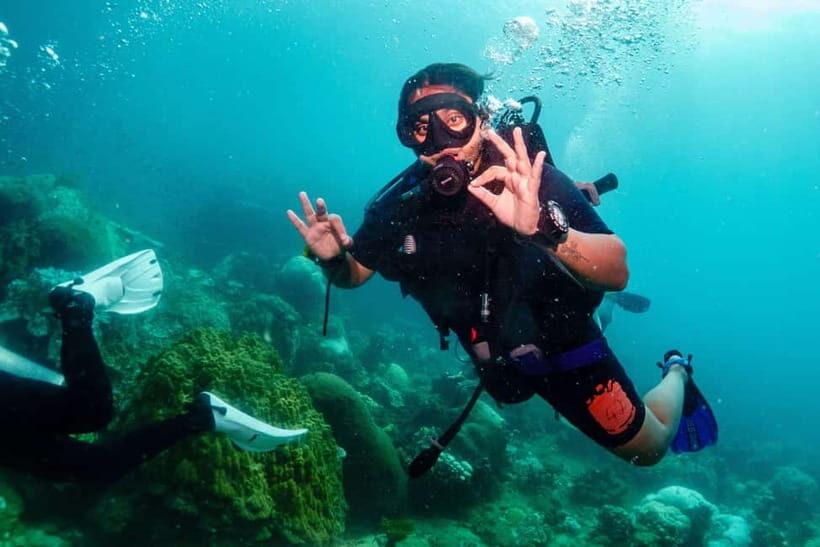 Ko Tao: Try Scuba Diving 1-Day Experience - Authentic Experiences & Tips