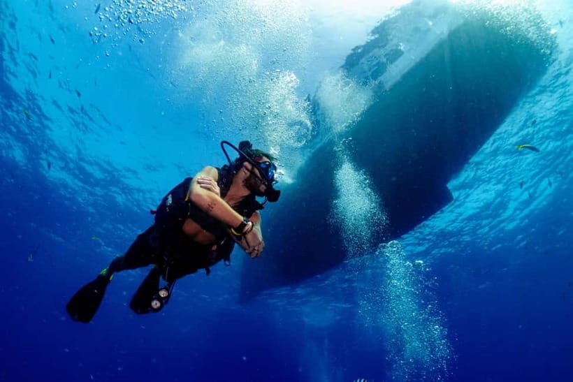 Ko Tao: Try Scuba Diving 1-Day Experience - Who Should Consider This Tour?