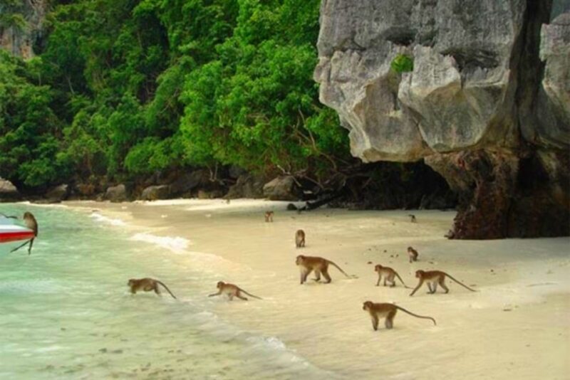 Ko Yao: Private Phi Phi and Bamboo Island Speedboat Tour - Key Points