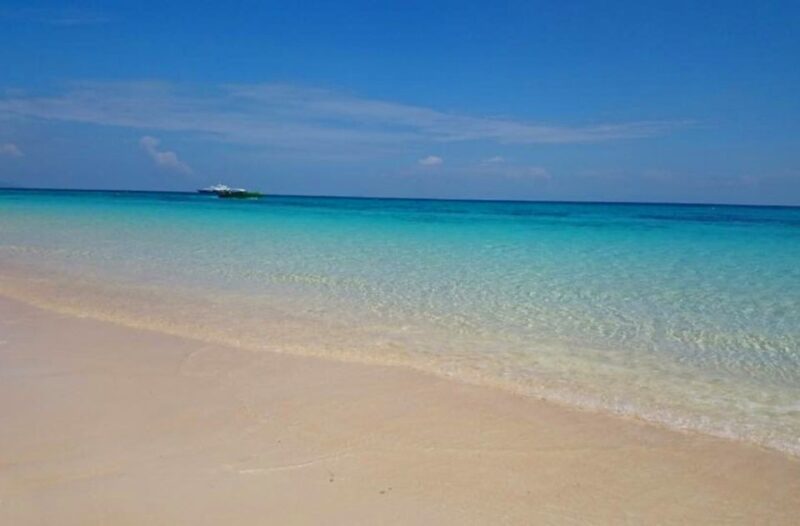 Ko Yao: Private Rok and Haa Island Speedboat Charter - Key Points