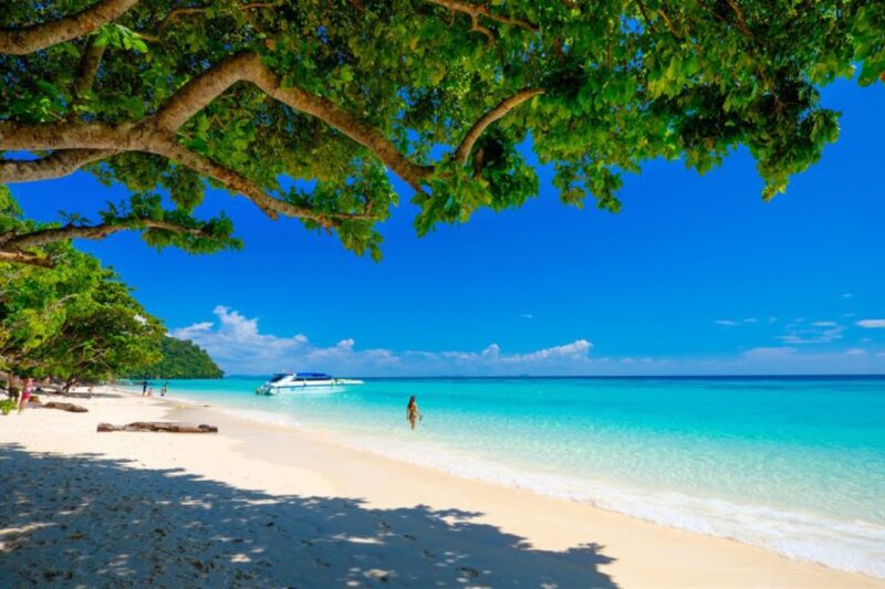 Ko Yao: Private Rok and Haa Island Speedboat Charter - Exploring Koh Rok and Koh Haa