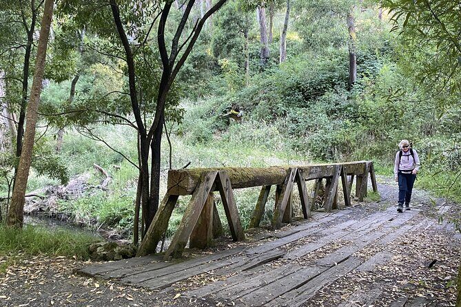 Koala Experience at Melbourne Zoo - excl. entry - Practical Tips for Visitors