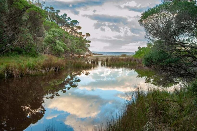 Koalas, Kangaroos and Lyrebirds - The Sum Up