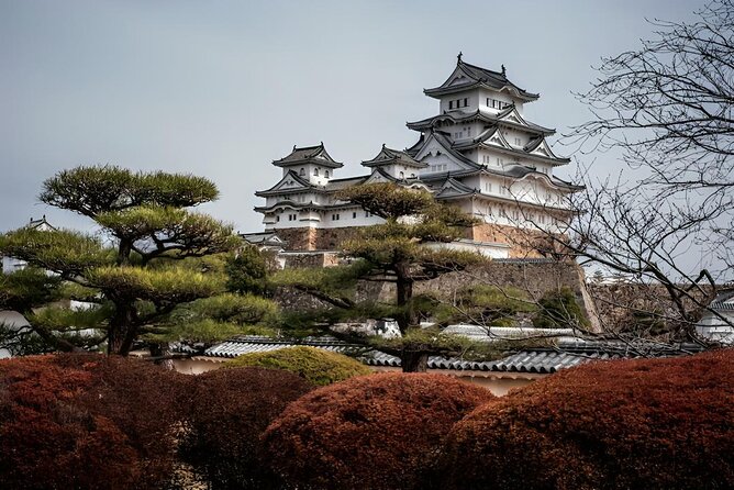 Kobe and Himeji A Journey Through Culture and History - Key Points