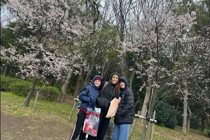 Kobe Guided Tour Including Port Area and Arima Onsen Town - Inclusions and Experience