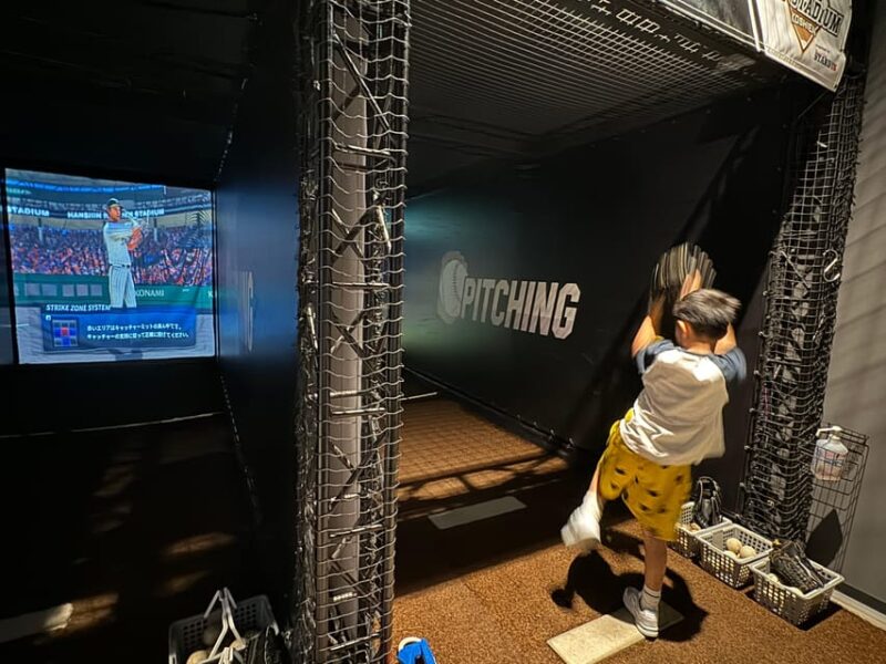 Kobe: Koshien Guided Tour - Japanese Baseball Iconic Ground - Getting to Koshien