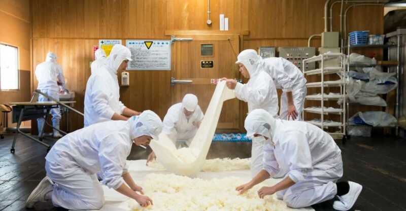 Kobe: Nada Sake Brewery District Private Walking Tour - Key Points