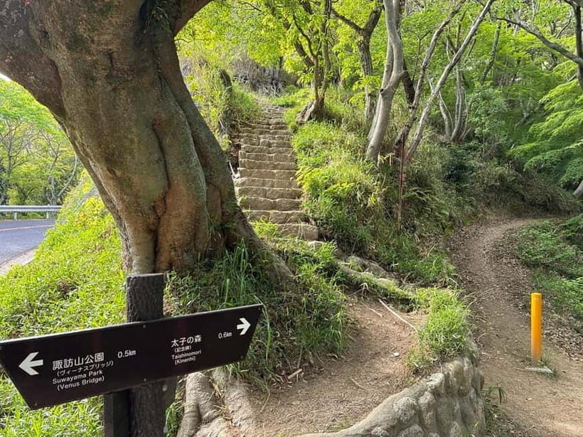 Kobe: Night Hike Adventure and local dining experience tour - Key Points