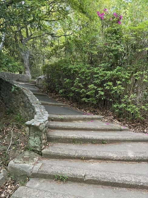 Kobe: Night Hike Adventure and local dining experience tour - Authentic Insights from Past Participants