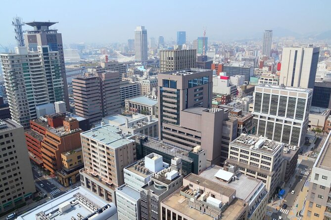 Kobe : Private Custom Tour (Excursion to Osaka / Kyoto Possible) - Accessibility Features