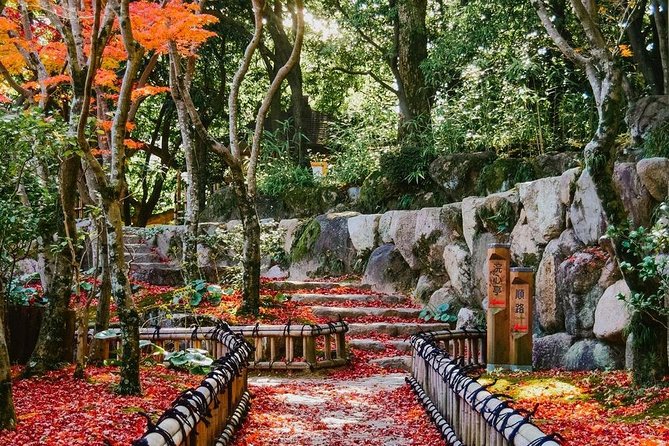 Kobe Private Customizable Full Day Tour - Booking and Cancellation Policies