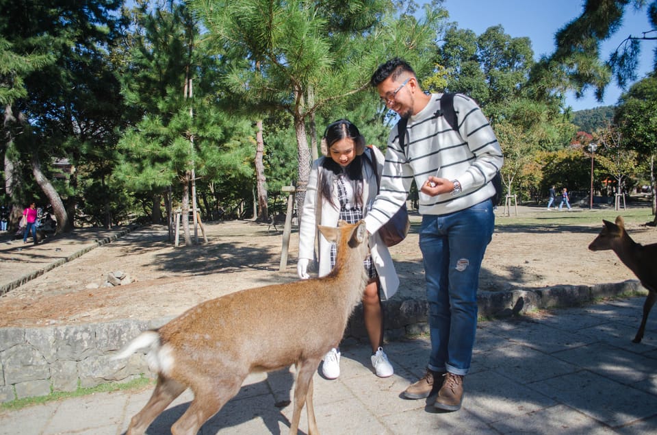Kobe: Private Shore Excursion to Kyoto, Osaka, or Nara - Tour Experience and Guide