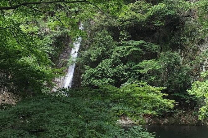 Kobe Private Tour From Osaka (Shore Excursion Available From Osaka or Kobe Port) - Accessibility and Physical Requirements