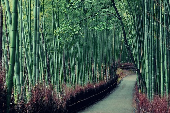 Kobe Shore Excursion to Kyoto - Transportation and Inclusions