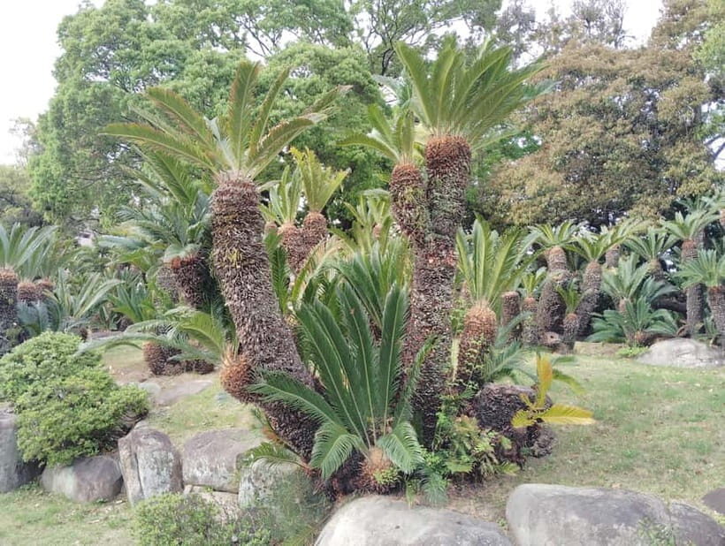 Kobe: Sorakuen Garden Guided Walking Tour - Discovering Kobe’s Hidden Treasure: Sorakuen Garden Guided Walking Tour