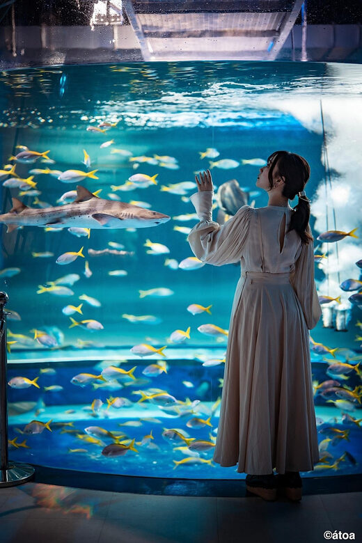 Kobe: Urban Aquarium AQUARIUM×ART átoa Entry Ticket - Exploring Kobe’s AQUARIUM×ART átoa: What You Can Expect