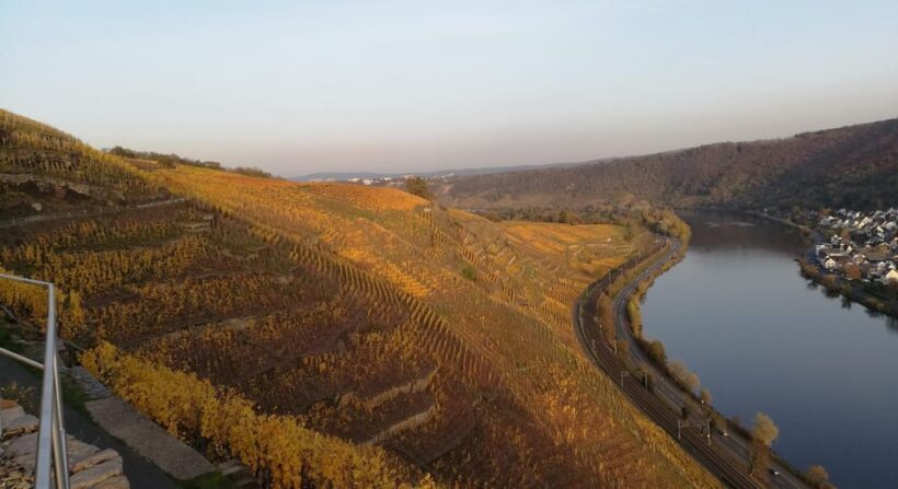 Koblenz: The Living Vineyard, Nature & Wine Enjoyment - Final Words