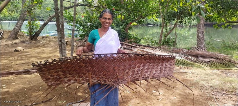 Kochi: Backwater Exploration in Village: Free Pickup & Drop - Key Points