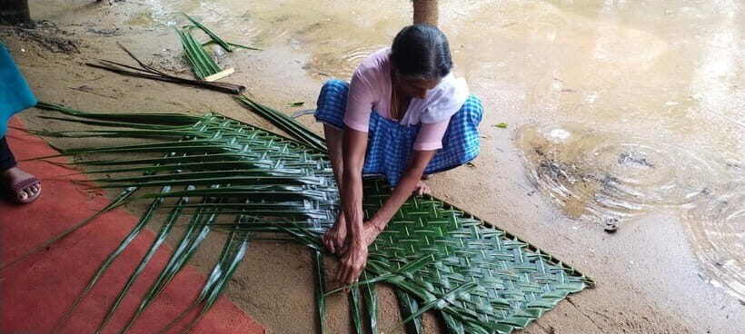 Kochi: Backwater Exploration in Village: Free Pickup & Drop - Who This Tour Is Best For