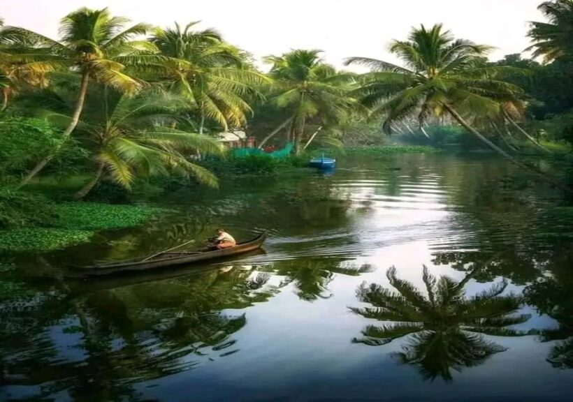 Kochi: Backwater Exploration in Village: Free Pickup & Drop - The Sum Up