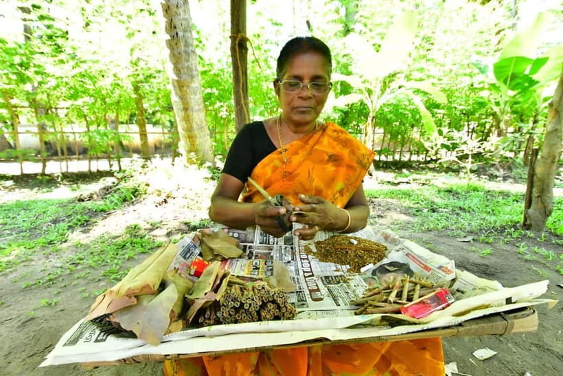 Kochi: Backwater Village Guided Visit with Meal - What Is the Kochi Backwater Village Tour?