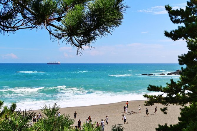 Kochi Full-Day Private Trip With Government-Licensed Guide - Inclusions and Exclusions