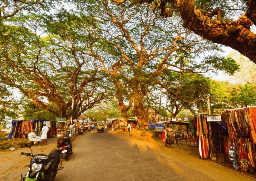 Kochi Insta Photo Walk with Tuk Tuk Ride Experience - A Closer Look at the Kochi Insta Photo Walk