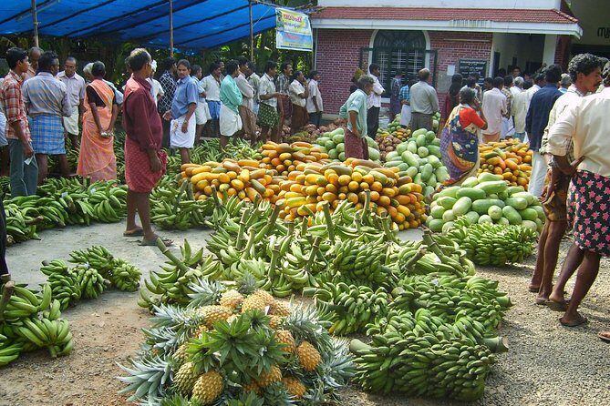 Kochi Overall Private & Group Tours: Customizable: Pick and Drop. - Key Points