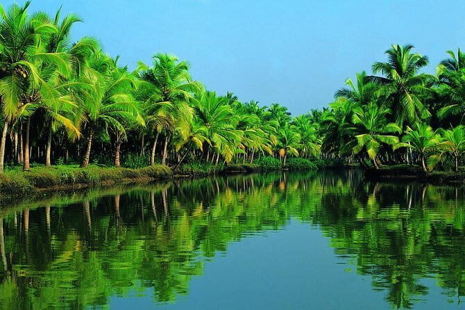 Kochi Shore Excursion: Private Kerala Backwater Houseboat Day Cruise - Who Will Love This Tour?