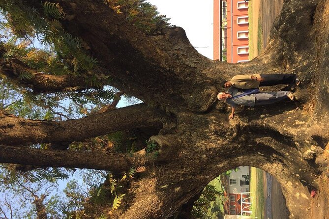 Kochi Sightseeing Tuk-Tuk Tour with Pickup From Cruise Ships - A Deep Dive into the Itinerary