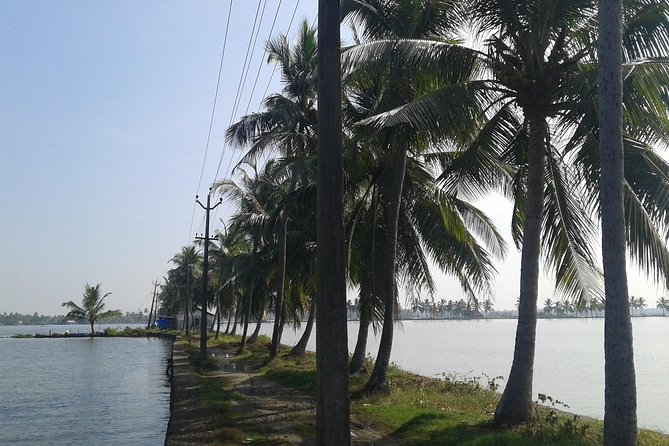 Kochi Village Life Experience tour - The Real Tour of Kochi ! - Key Points