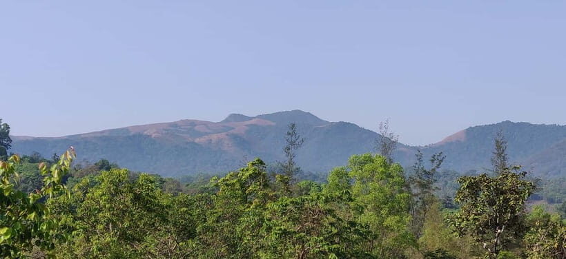 Kodachadri: Summit Trek with forest and cave experience - What is the Kodachadri Trek?