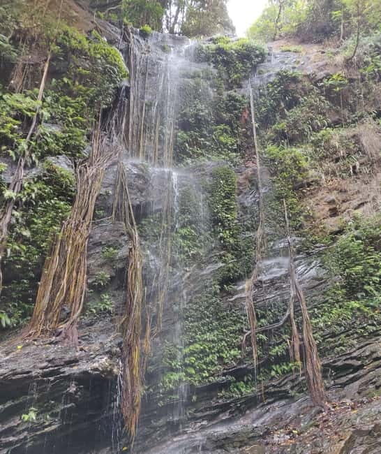 Kodachadri: Summit Trek with forest and cave experience - What the Reviews Say