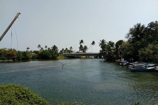 Koggala Lake Boat Tour - Koggala Lake Boat Tour: An Authentic Escape on Sri Lanka’s Scenic Waterways