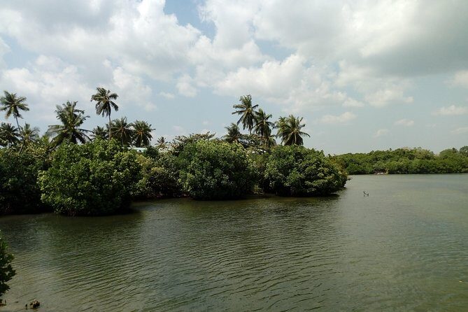 Koggala Lake Boat Tour - The Sum Up: Is the Koggala Lake Boat Tour Worth It?