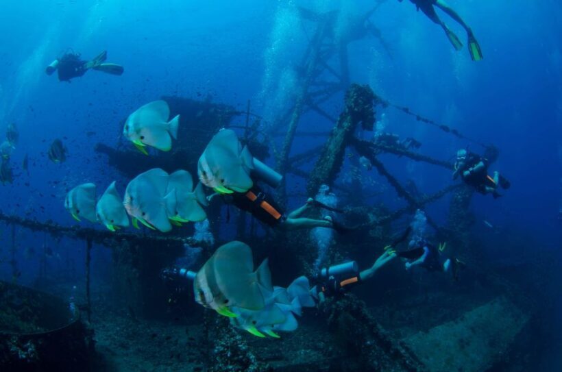 Koh Chang: 1-Day Dive Trip to Top Underwater Sites - The Sum Up: Is This Tour Worth It?