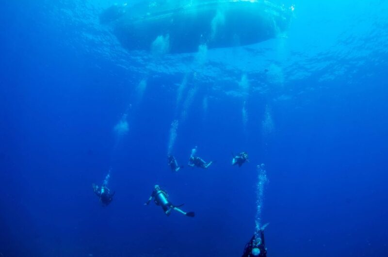 Koh Chang: 1-Day Dive Trip to Top Underwater Sites - Key Points