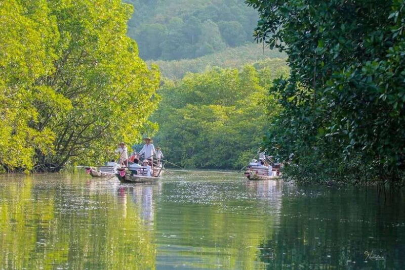 Koh Chang: Mangrove Forest Gondola Tour - Key Points