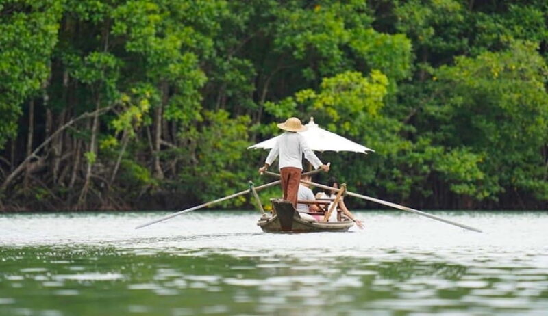 Koh Chang: Mangrove Forest Gondola Tour - The itinerary in detail