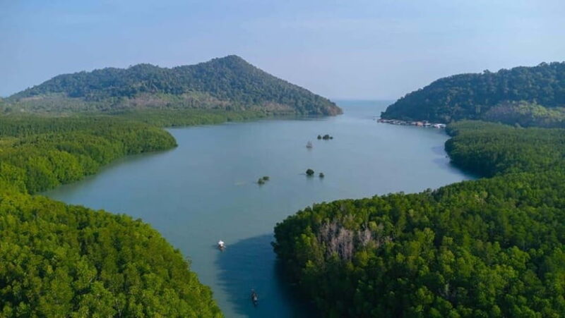 Koh Chang: Mangrove Forest Gondola Tour - What travelers say about it