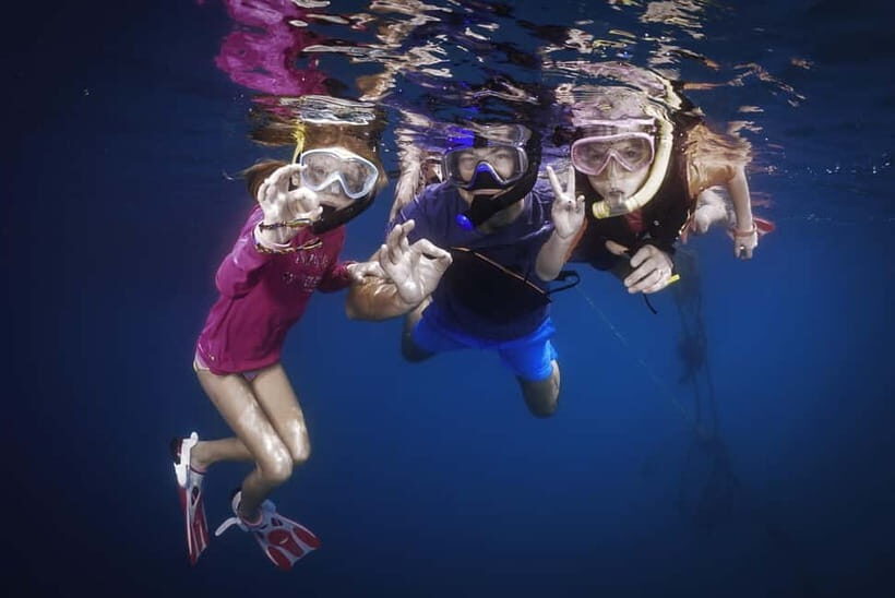 Koh Chang: Snorkeling Trip to Reefs or Wrecks with Lunch - The Marine Sites: Colorful Gardens or Maritime Mysteries?