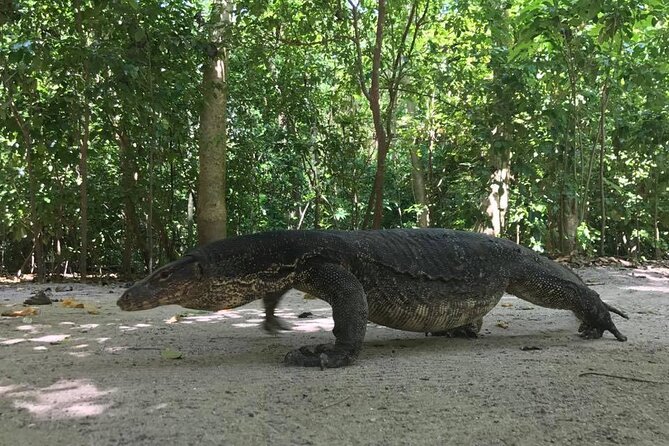 Koh Hong Private Tour from Krabi by Speedboat - Final Thoughts: Is This Tour Worth It?