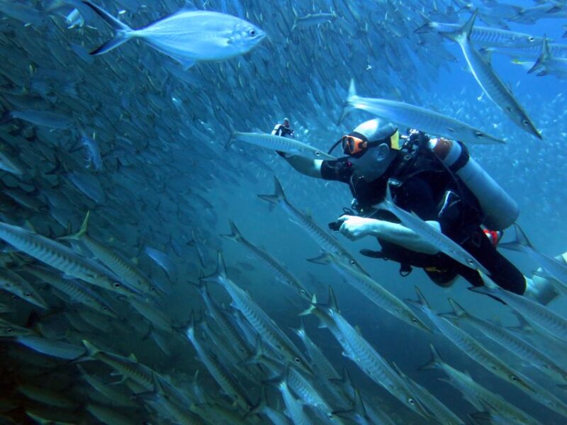 Koh Kood: Discover Scuba Diving for Beginners with 2 Dives - Who Will Love This Tour?