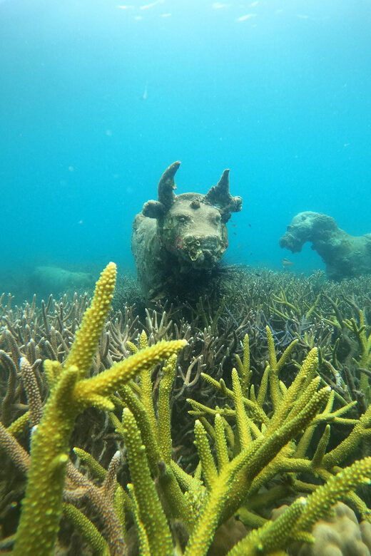 Koh Kood or Koh Rang: Snorkeling trip with lunch & transfer - An honest look at the snorkeling trip
