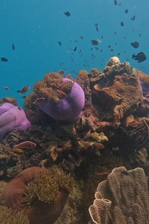 Koh Kood: Snorkeling Speedboat Tour with Lunch and Transfer - FAQ