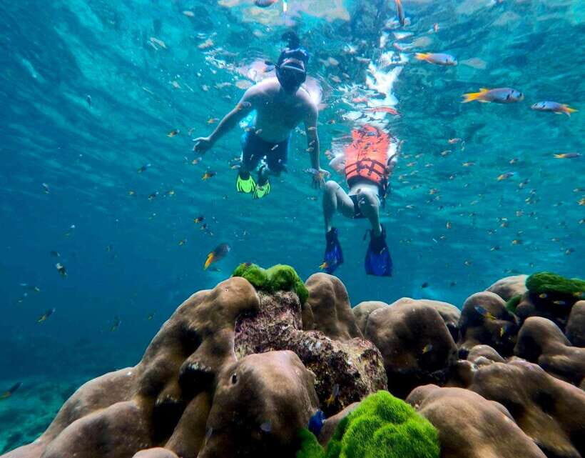 Koh Lanta: 4 Islands Speedboat Tour Emerald Cave & Ko Kradan - What Travelers Are Saying